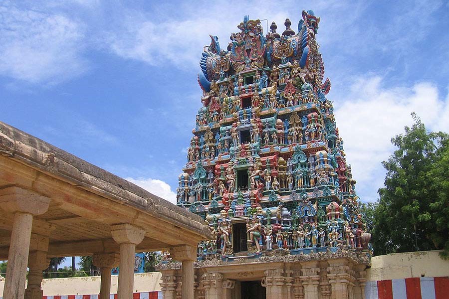 Tiruchendur Travels & Cabs